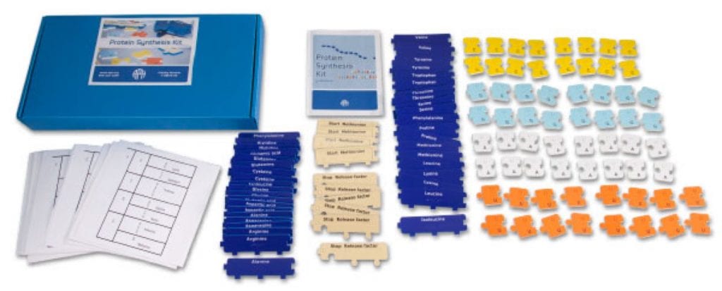 Protein Synthesis Kit | American Printing House