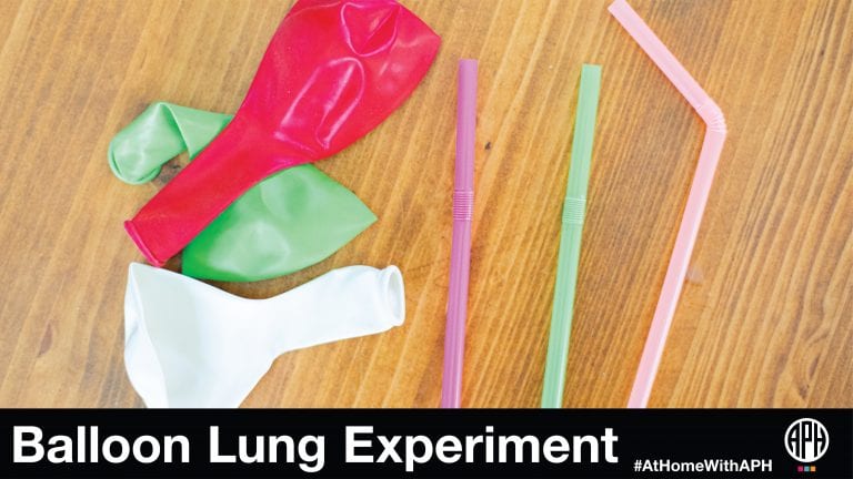 Balloon Lung Activity | American Printing House