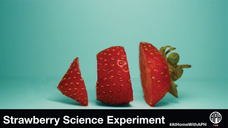 Strawberry Science: A DNA Experiment | American Printing House