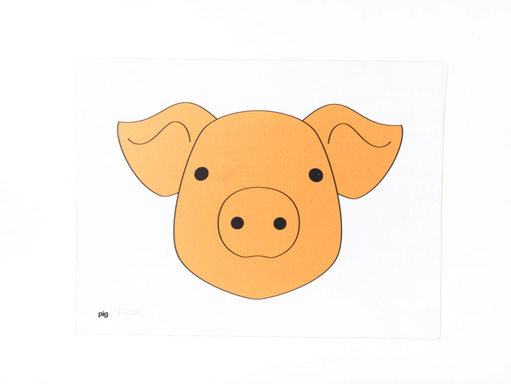 Animal Recipes: Farm Set | American Printing House