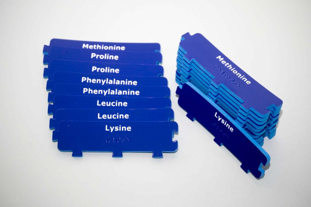 Protein Synthesis Kit | American Printing House
