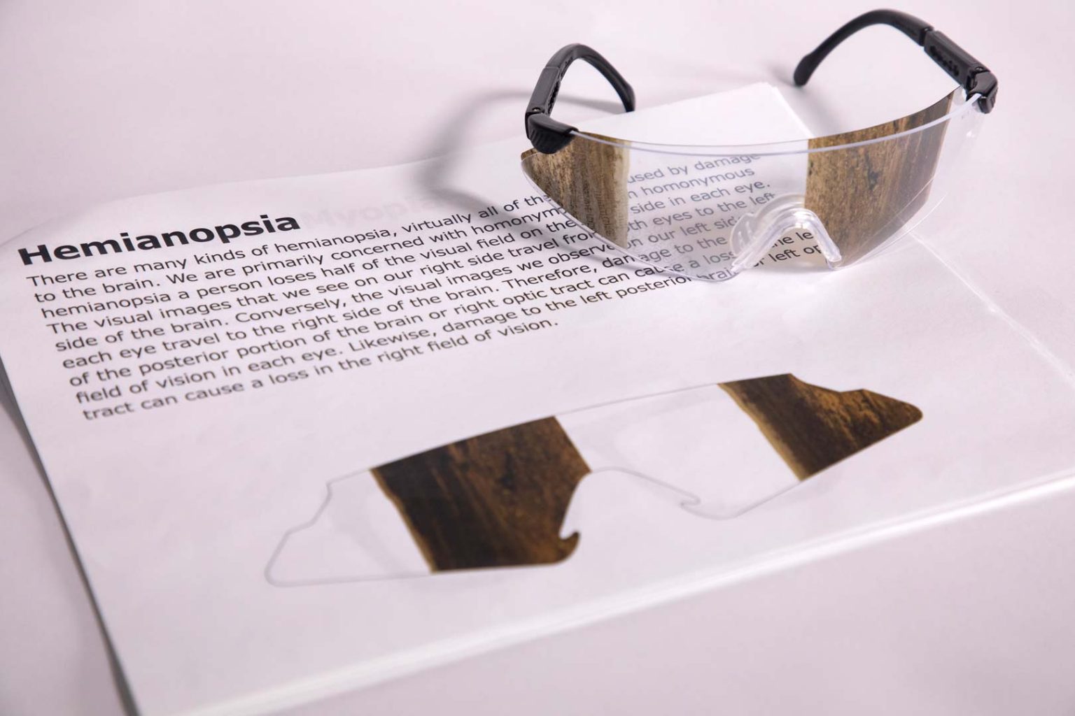 See Like Me: Low Vision Simulators | American Printing House